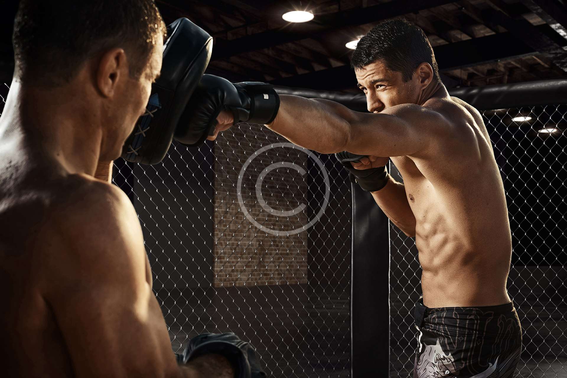 Home MMA – Dan Severn