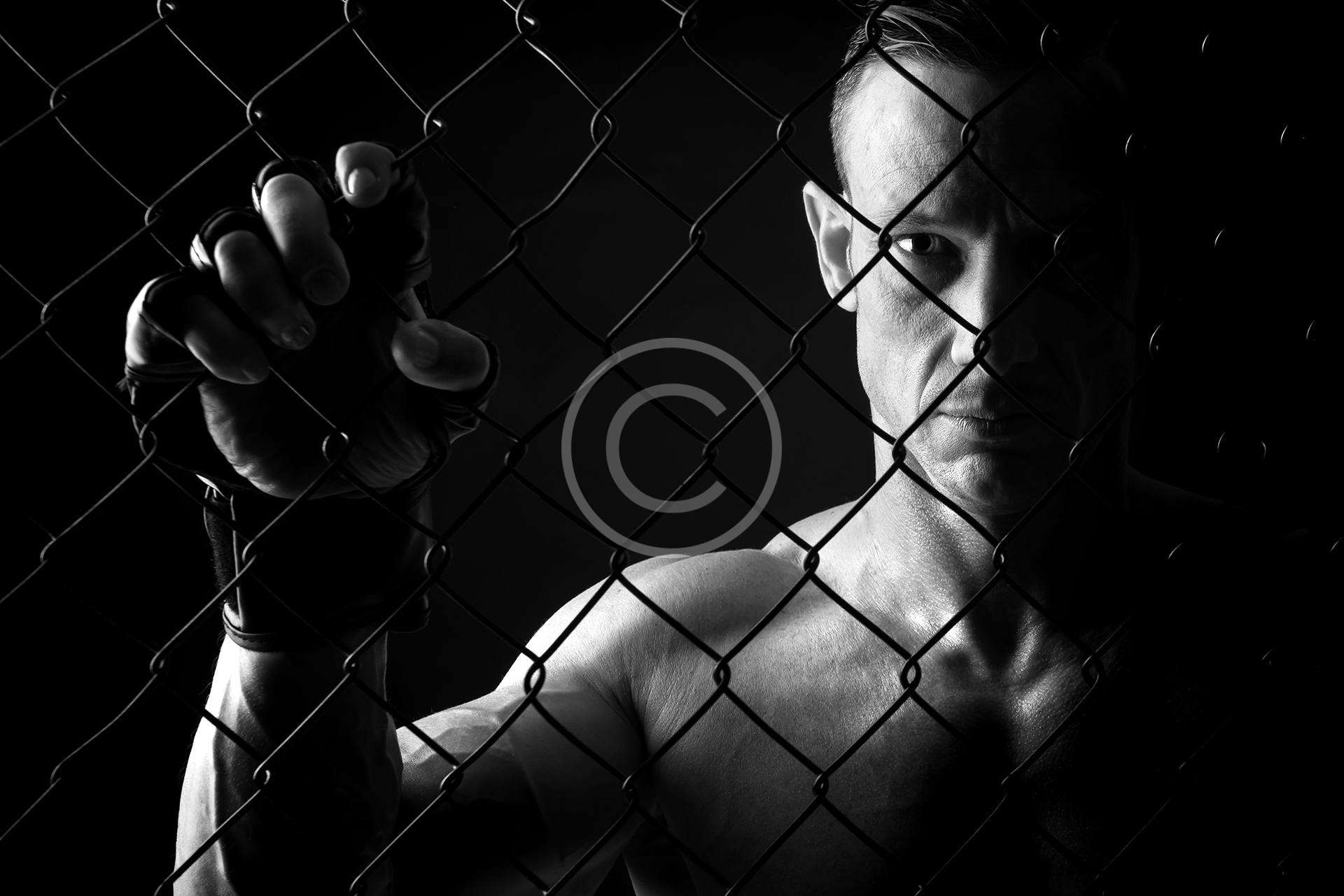 Home MMA – Dan Severn