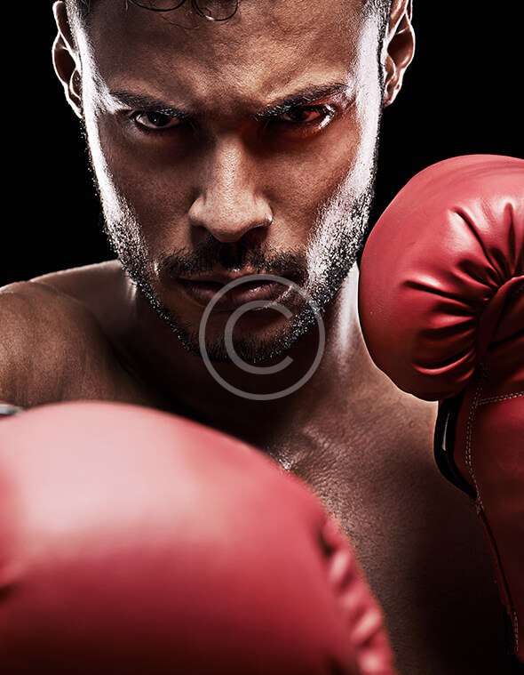 Home 2 Boxer – Dan Severn