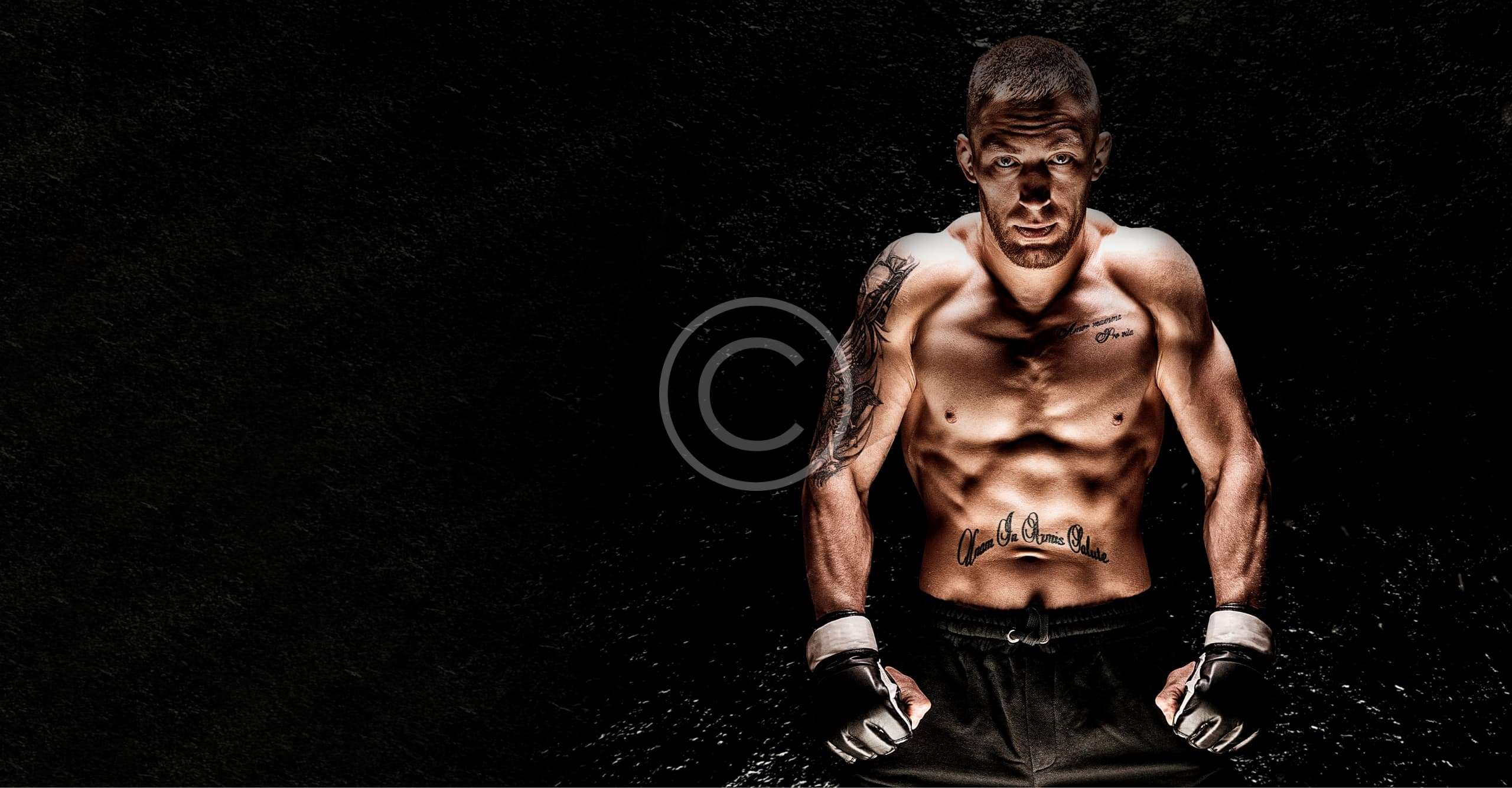 Home MMA – Dan Severn